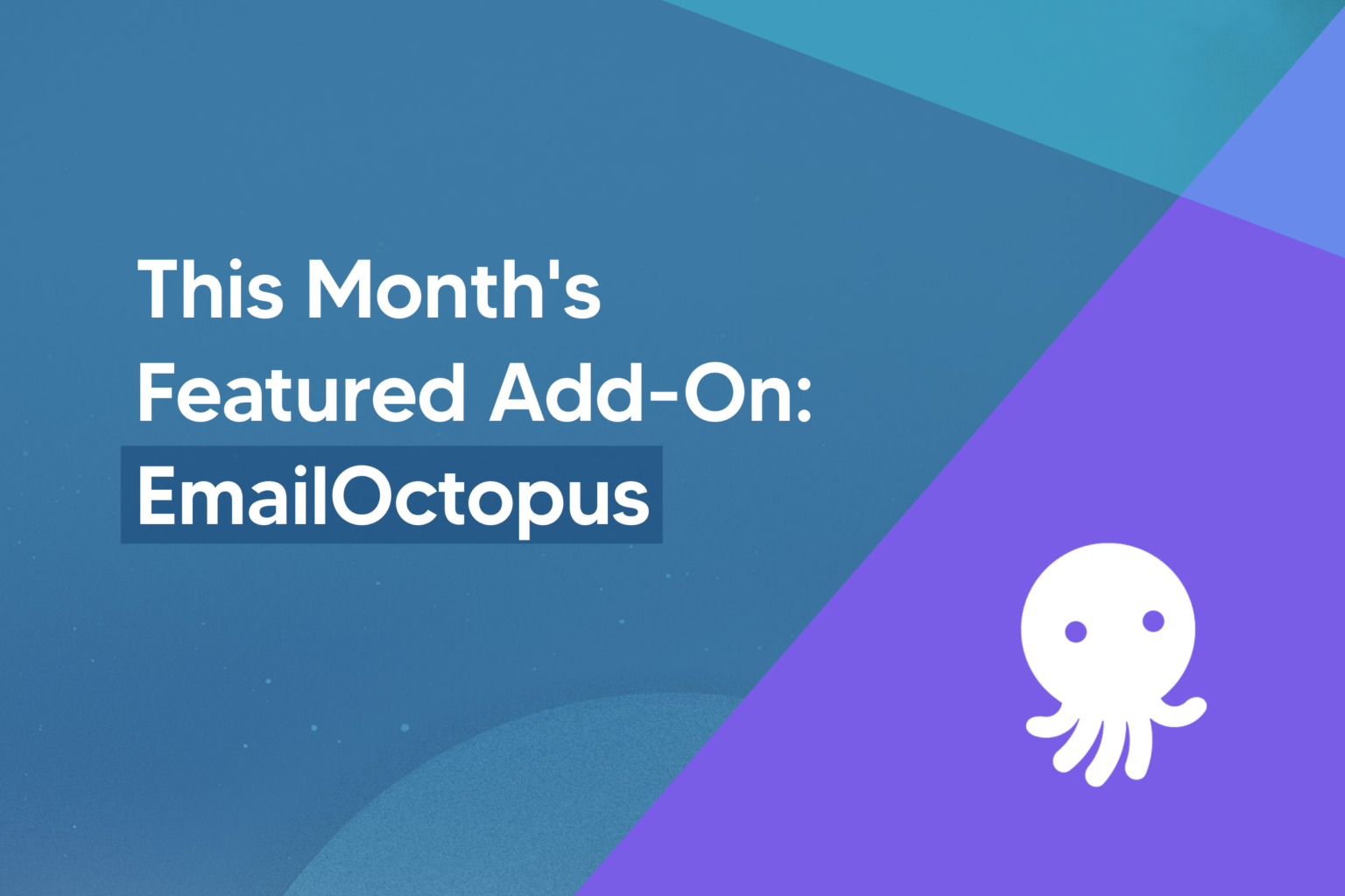 This Month's Featured Add-On... EmailOctopus - Gravity Forms