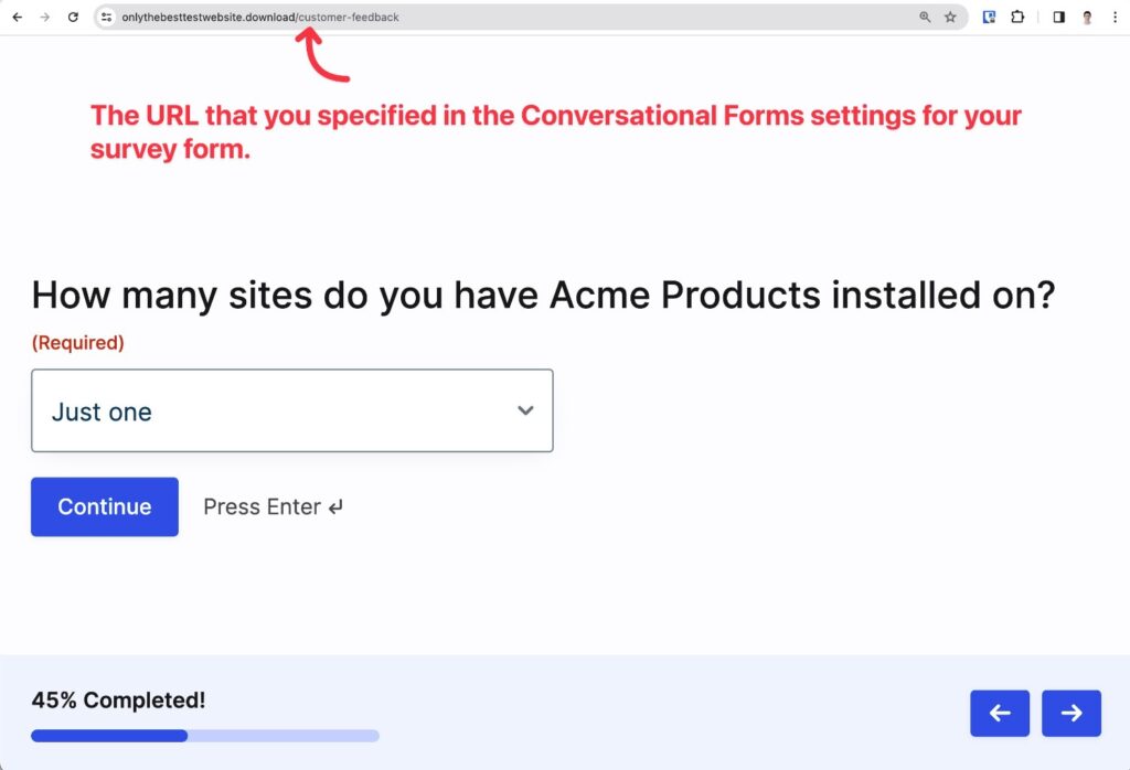 Create Online Surveys with the Conversational Forms Add-On
