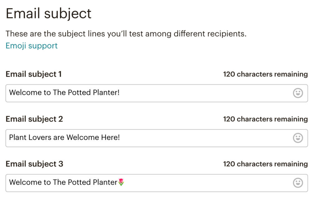 Mailchimp for WordPress: A Full Review (Features, Pricing, Setup)